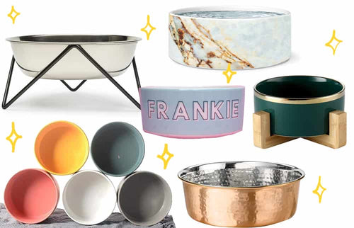 Trending: Dog Bowls To Match Your Kitchen – Giadzy