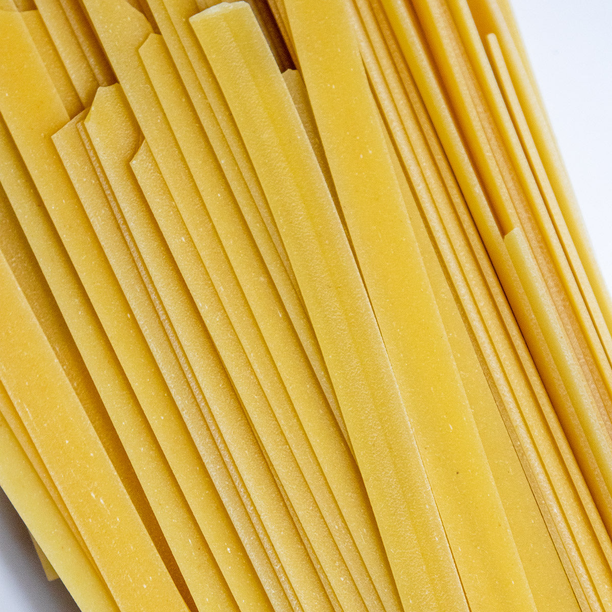 Introducing the Giadzy Pasta!